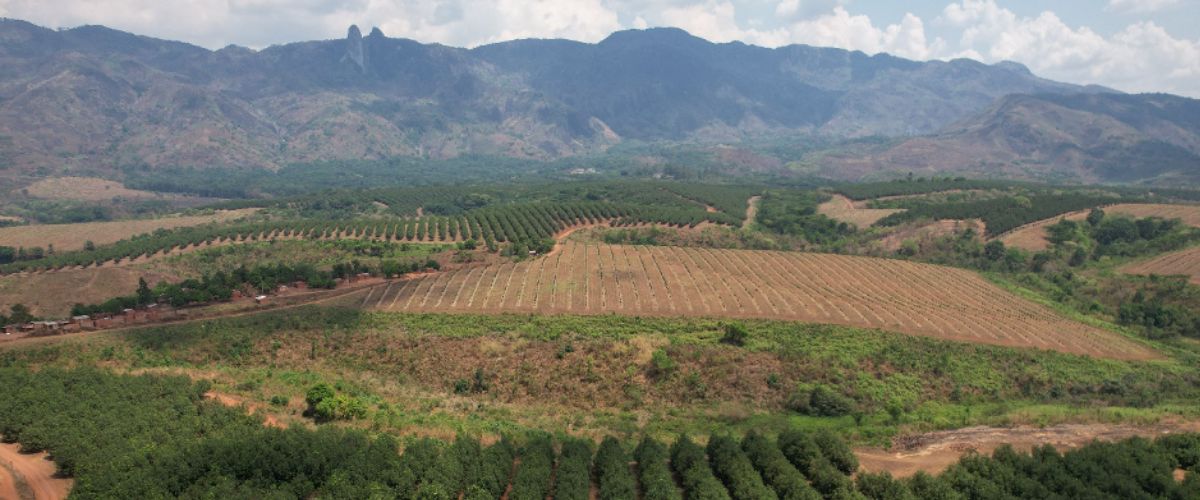 New Spring Development